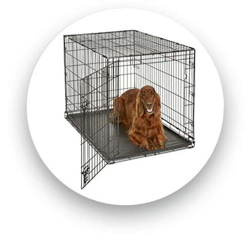 Recommended Recovery Products - Vet in Greenfield | Midwest Veterinary ...