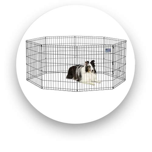 Recommended Recovery Products - Vet in Greenfield | Midwest Veterinary ...