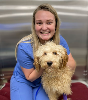 Veterinarian in Greenfield | Vets Near Me | Midwest Veterinary Specialists