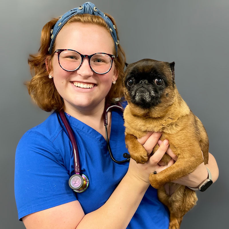 Meet the Team - Vet in Greenfield | Midwest Veterinary Specialists