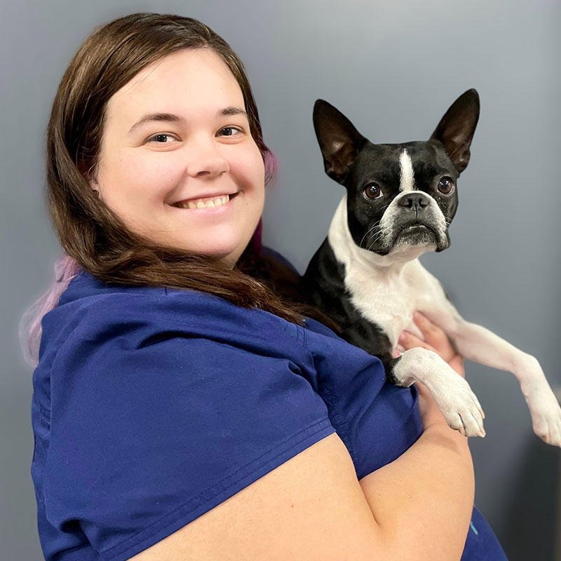 Meet the Team - Vet in Greenfield | Midwest Veterinary Specialists
