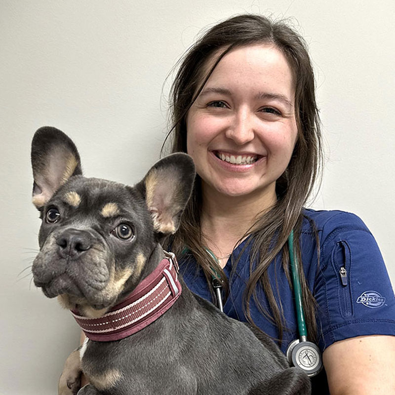 Meet the Team - Vet in Greenfield | Midwest Veterinary Specialists