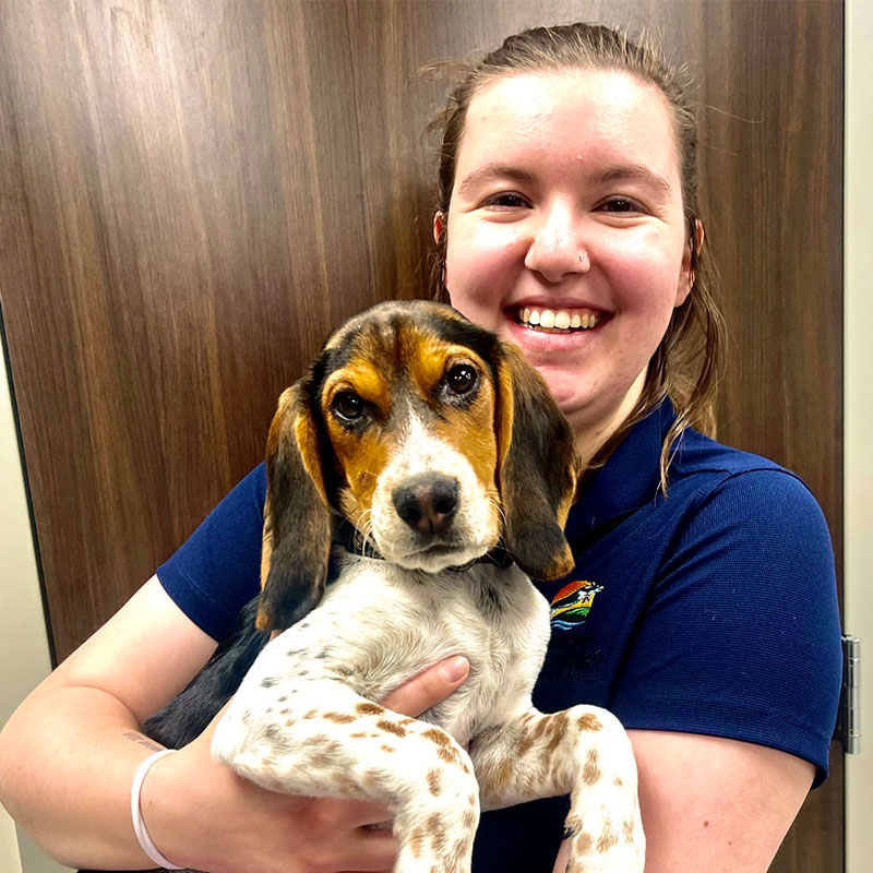 Meet the Team - Vet in Greenfield | Midwest Veterinary Specialists