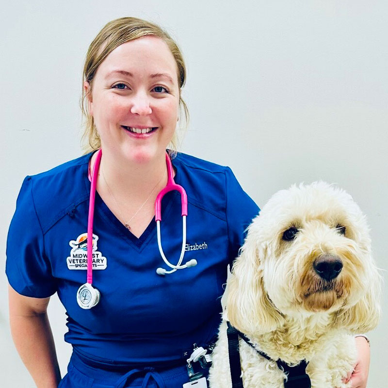 Meet the Team - Vet in Greenfield | Midwest Veterinary Specialists