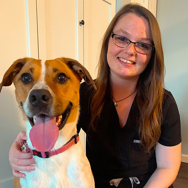 Meet the Team - Vet in Greenfield | Midwest Veterinary Specialists