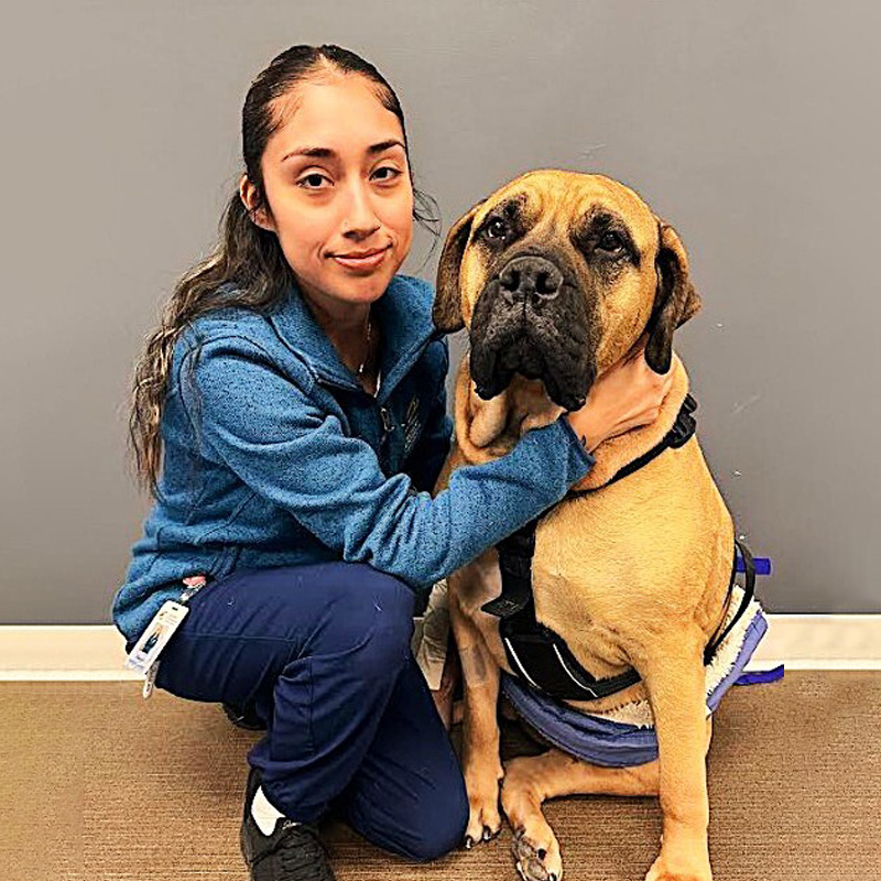 Meet the Team - Vet in Greenfield | Midwest Veterinary Specialists